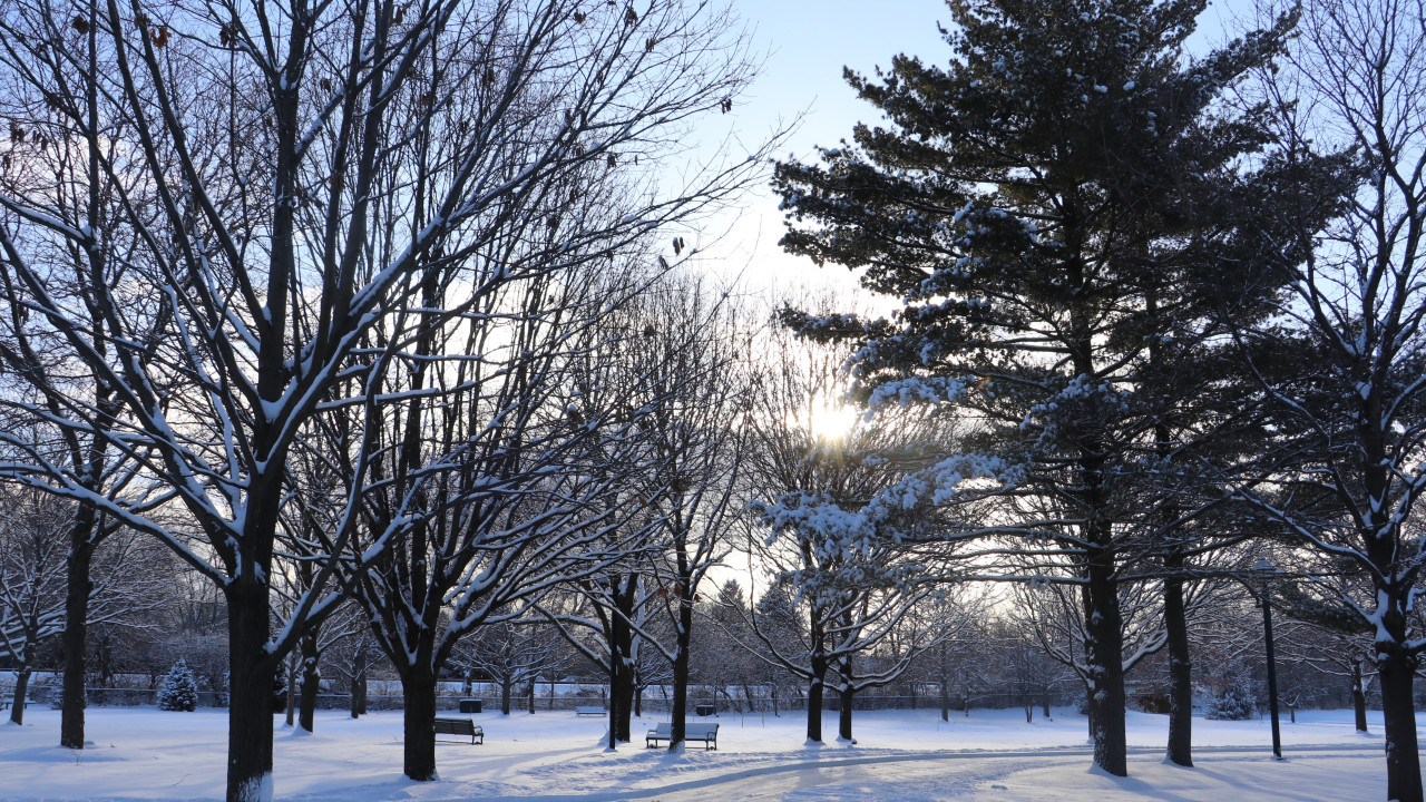 Winter Wonder at Gurnee Park District | Gurnee Park District